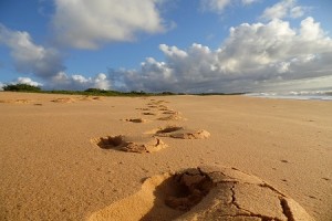 The 6 Steps of Spiritual Correction | Kabbalah Blog